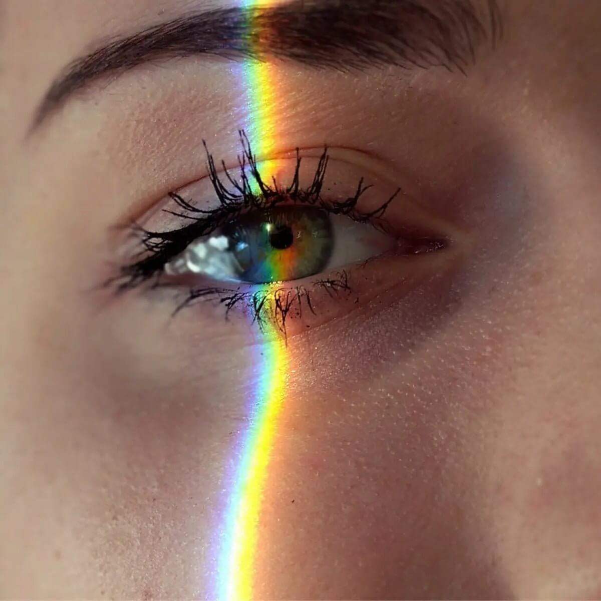 The Shroom Boom with functional mushrooms – Mycogenius